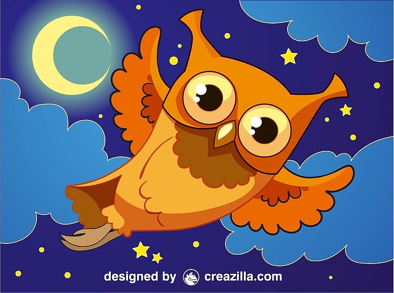 Owl vector. Free download. | Creazilla
