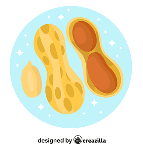 Peanut vector. Free download. | Creazilla