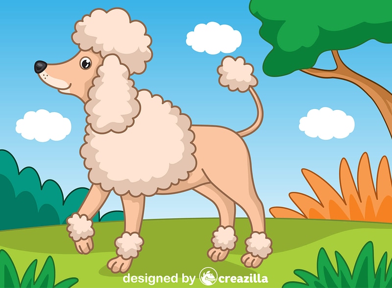 Poodle - Free vector images on creazilla.com