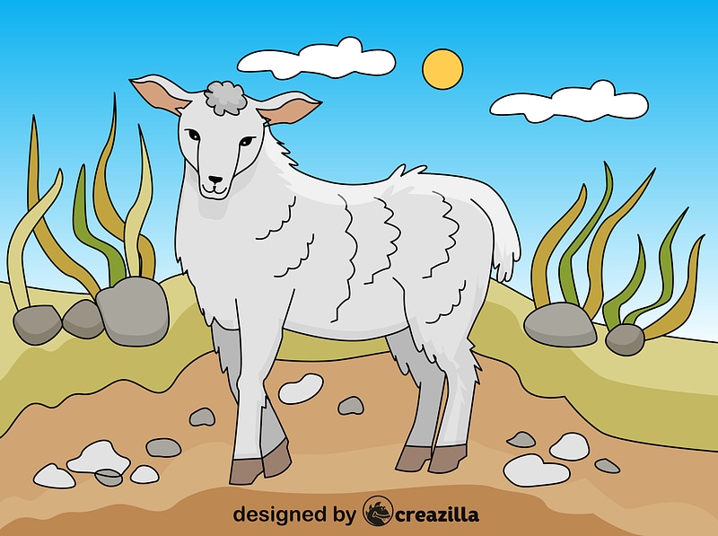 Sheep - Free vector images on creazilla.com