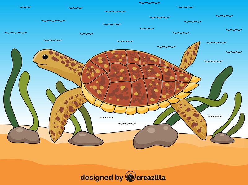 Turtle - Free vector images on creazilla.com