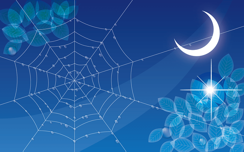 Spiders Web Moon Leaves vector. Free download. | Creazilla