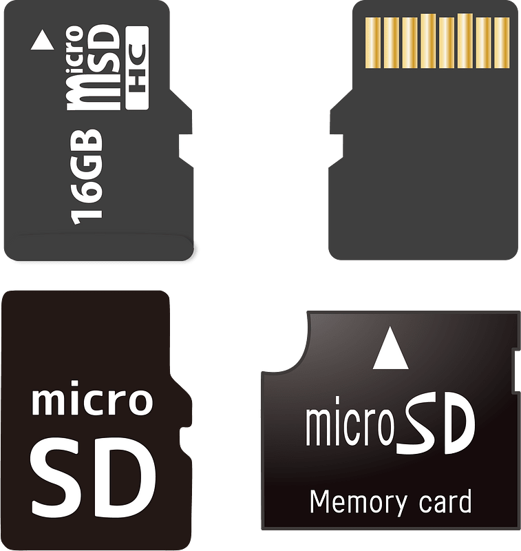 Microsd Memory Card vector. Free download. | Creazilla