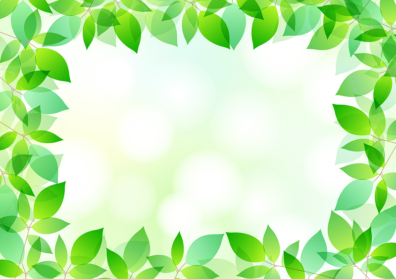 Leaves Frame vector. Free download. | Creazilla