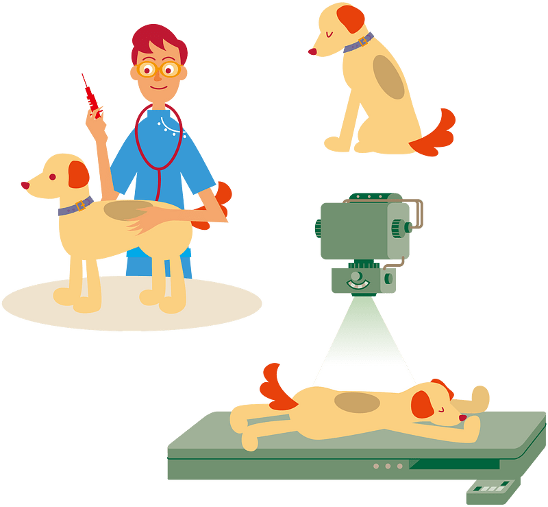 Dog Veterinary vector. Free download. | Creazilla