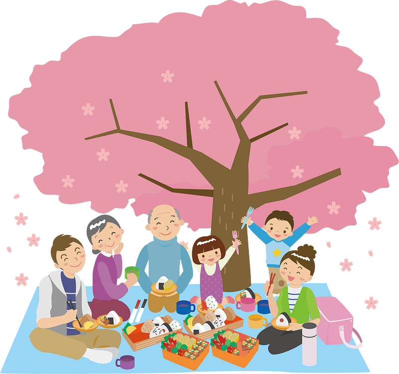 Hanami Cherry Blossoms vector. Free download. | Creazilla