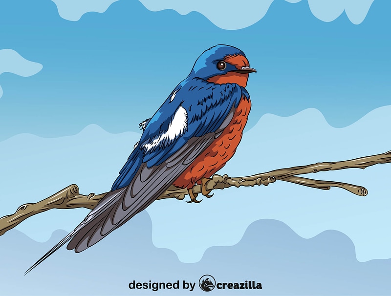 Barn Swallow on the Branch vector. Free download. | Creazilla