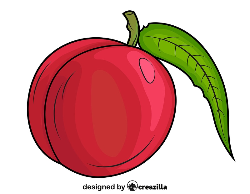 Nectarine vector. Free download. | Creazilla