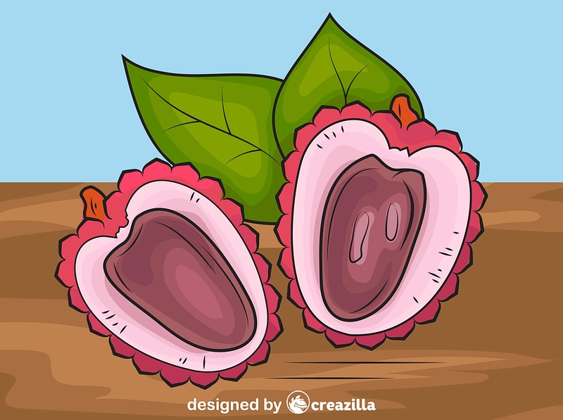 Lychee Cut In Half Vector Free Download Creazilla lychee-cut-in-half-vector-free-download-creazilla