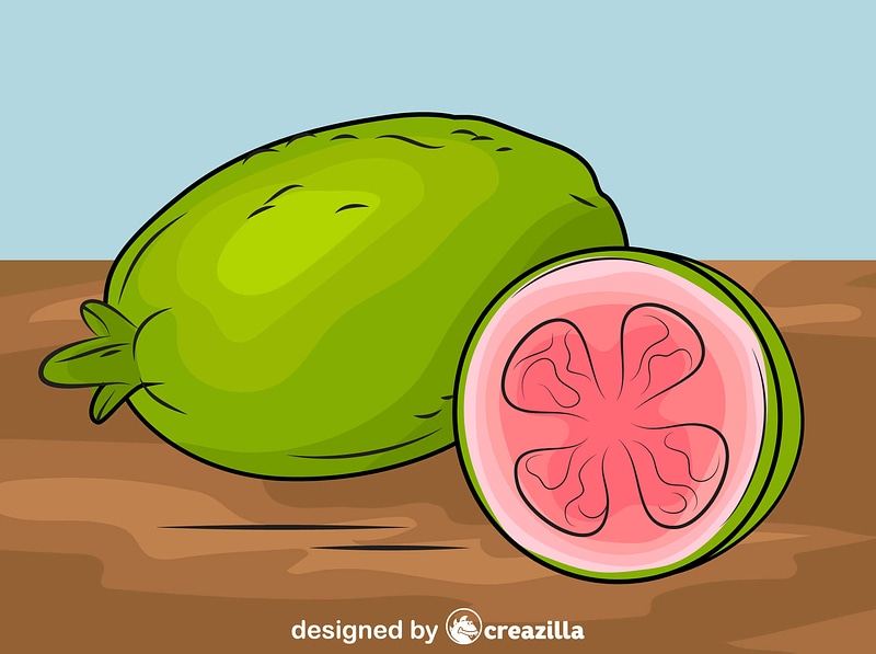 Fresh Guavas vector. Free download. | Creazilla